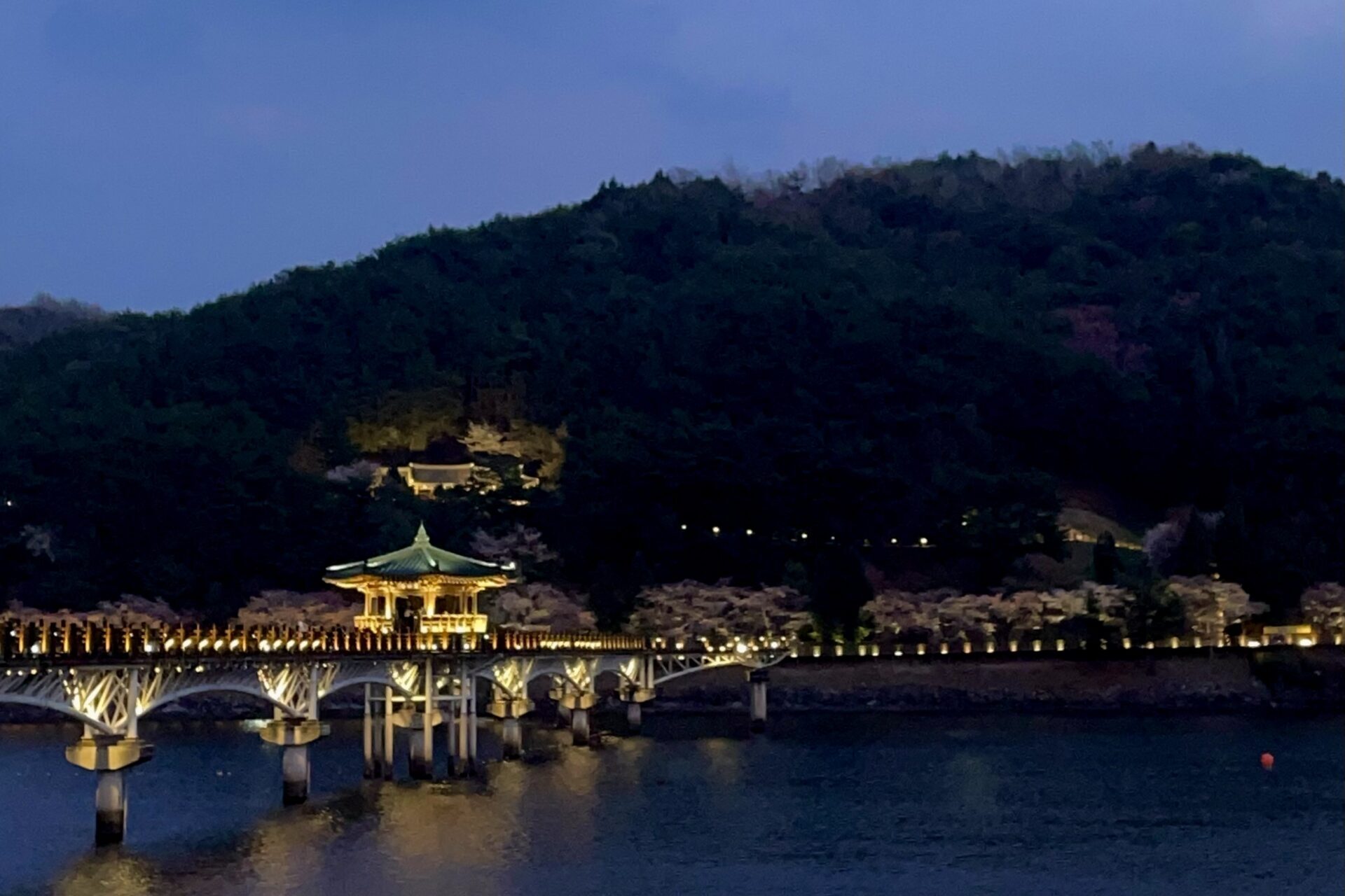 【インターン情報】 [ソフトバンク x KOREC] 地方創生インターンシップ『TURE-TECH（ツレテク）』 史上初🎉韓国・安東市での開催 ...